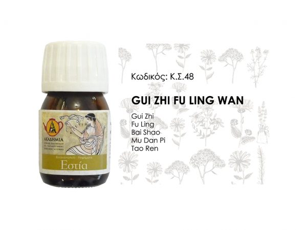 Gui Zhi Fu Ling Wan - Akadimia E-shop