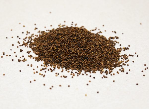 Tu Si Zi - Akadimia E-shop