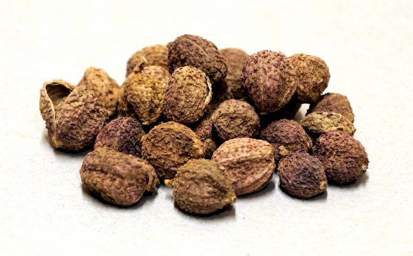 Sha Ren - Akadimia E-shop