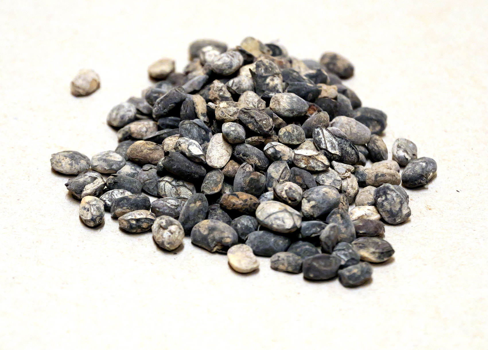 Dan Dou Chi - Akadimia E-shop